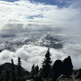 Mount Ellinor Trail, Washington - 2,958 Reviews, Map | AllTrails