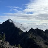 Mount Ellinor Trail, Washington - 2,958 Reviews, Map | AllTrails
