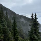Mount Ellinor Trail, Washington - 2,958 Reviews, Map | AllTrails