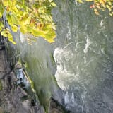 Gold Mine Loop Trail, Maryland - 991 Reviews, Map | AllTrails