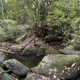 Graybeard Trail [CLOSED], North Carolina - 1,833 Reviews, Map | AllTrails
