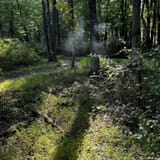 Washington Valley Park Trail, New Jersey - 648 Reviews, Map | AllTrails