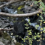 Washington Valley Park Trail, New Jersey - 648 Reviews, Map | AllTrails