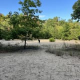 Neshaminy State Park, Pennsylvania - 1,051 Reviews, Map | AllTrails