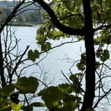 Abraham Lincoln Park White Trail, New York - 1,739 Reviews, Map | AllTrails