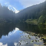 Two Lakes Trail, Alaska - 567 Reviews, Map | AllTrails