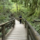 Capilano Canyon and Upper Capilano Pacific Trail Loop, British Columbia ...