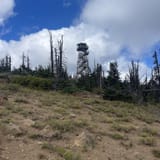 Black Butte Trail, Oregon - 2,189 Reviews, Map | AllTrails