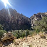 Ice Box Canyon Trail, Nevada - 3,350 Reviews, Map | AllTrails