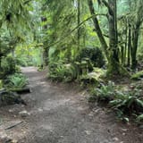 Point Defiance Park Outer Loop, Washington - 4,869 Reviews, Map | AllTrails