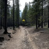 Abyss Lake via Abyss Lake Trail #602, Colorado - 492 Reviews, Map ...