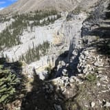 Grotto Mountain Trail, Alberta, Canada - 1,293 Reviews, Map | AllTrails