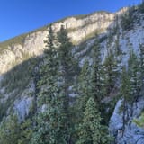 Grotto Mountain Trail, Alberta, Canada - 1,293 Reviews, Map | AllTrails