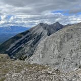 Grotto Mountain Trail, Alberta, Canada - 1,293 Reviews, Map | AllTrails