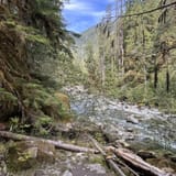 Staircase Rapids Loop, Washington - 3,077 Reviews, Map | AllTrails