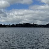 WA 520 Trail, Washington - 716 Reviews, Map | AllTrails