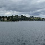 WA 520 Trail, Washington - 716 Reviews, Map | AllTrails