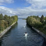 WA 520 Trail, Washington - 716 Reviews, Map | AllTrails