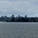 WA 520 Trail, Washington - 716 Reviews, Map | AllTrails