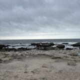 Asilomar State Beach and Coast Trail, California - 903 Reviews, Map ...