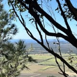 Mount Ninderry Trail, Queensland, Australia - 626 Reviews, Map | AllTrails