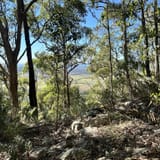 Mount Ninderry Trail, Queensland, Australia - 626 Reviews, Map | AllTrails