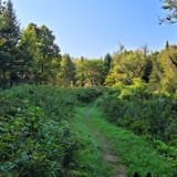 Parc de la Rivière Gentilly : 295 Photos - Québec, Canada | Randonnée ...
