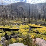 Cascade Falls, Colorado - 2,023 Reviews, Map | AllTrails