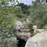 Cold Spring Loop, California - 2,462 Reviews, Map | AllTrails
