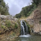 Cold Spring Loop, California - 2,559 Reviews, Map | AllTrails