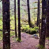 Tonsina Creek Trail, Alaska - 1,736 Reviews, Map | AllTrails