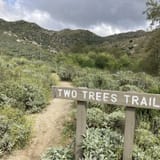 Two Trees Trail, California - 1,389 Reviews, Map | AllTrails