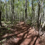 Kahakapao Loop Trail, Maui, Hawaii - 2,369 Reviews, Map | AllTrails