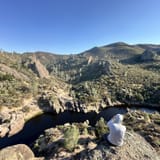 Moses Spring Trail to Bear Gulch Reservoir, California - 955 Reviews ...
