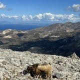Mount Zas (Zeus) Trail, Naxos, Greece - 578 Reviews, Map | AllTrails