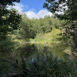 Hummocks Trail, Washington - 1,160 Reviews, Map | AllTrails