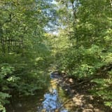 Aman Park Loop, Michigan - 1,677 Reviews, Map | AllTrails