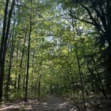Aman Park Loop, Michigan - 1,677 Reviews, Map | AllTrails