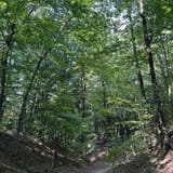 Aman Park Loop, Michigan - 1,677 Reviews, Map | AllTrails