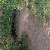 Carpenter Peak Trail, Colorado - 3,822 Reviews, Map | AllTrails