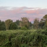 Centennial Trail, Washington - 854 Reviews, Map | AllTrails