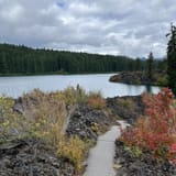 Clear Lake Trail, Oregon - 1,075 Reviews, Map | AllTrails