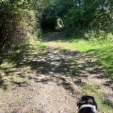 Beavertail Lighthouse Loop, Rhode Island - 1,035 Reviews, Map | AllTrails