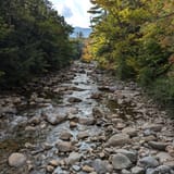 Zealand Bonds Traverse, New Hampshire - 780 Reviews, Map | AllTrails