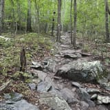 Raven Rocks via Appalachian Trail, Virginia - 6,480 Reviews, Map ...