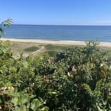 Sconset Bluff Path, Massachusetts - 311 Reviews, Map | AllTrails