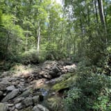 Daniel Ridge Loop, North Carolina - 2,136 Reviews, Map | AllTrails