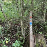 Daniel Ridge Loop, North Carolina - 2,136 Reviews, Map | AllTrails
