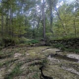 Red Cedar Trail, Illinois - 543 Reviews, Map | AllTrails