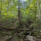Red Cedar Trail, Illinois - 545 Reviews, Map | AllTrails